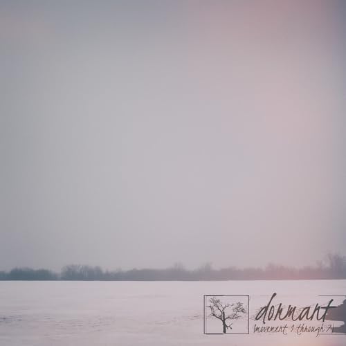 Play Dormant (Movement 1 Through 7) by The Flashbulb on Amazon Music