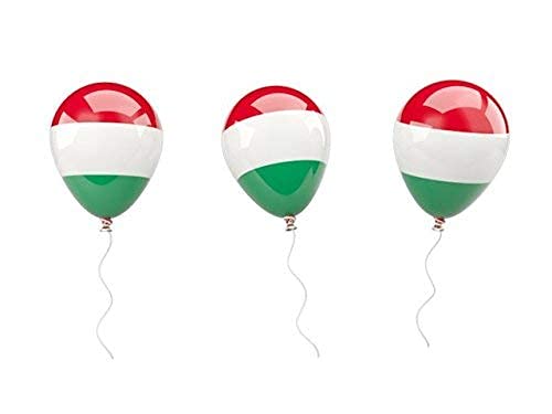 Forty Wings 50 IndianTringa Balloons Tri Color Orange, White & Green ...
