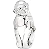 Amazon.com: Double Walled Cocktail Shaker Monkey by Godinger – 12 oz ...