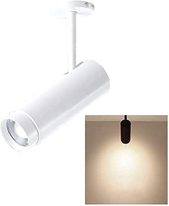 HACSYP Angled Ceiling Light Fixture, Rotatable Ceiling Spotlight ...