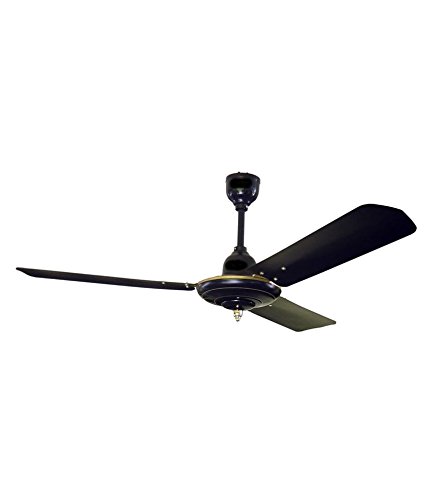 Cinni 48 Inch Regular 1200 MM Designer Ceiling Fan : Amazon.in: Home ...