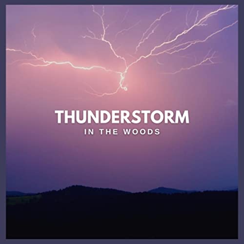 Play Thunderstorm in the Woods by Thunderstorm Global Project from ...