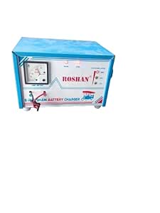 Roshan 48V 20A E-Rickshaw Charger : Amazon.in: Electronics