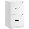 Amazon.com: VASAGLE 2 Drawers File Cabinet with Lock, Printer Stand ...