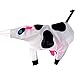 Cow Windsock 25 : Amazon.co.uk: Garden