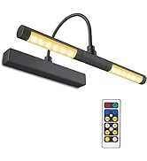 HONWELL Picture Light Remote Control AA Battery Operated Wall Lights ...