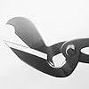 Amazon.com: CANARY Plastic Bottle Scissors 6.3" Craft Scissors for ...