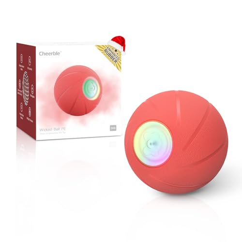 10 Best Smart Ball For Dogs