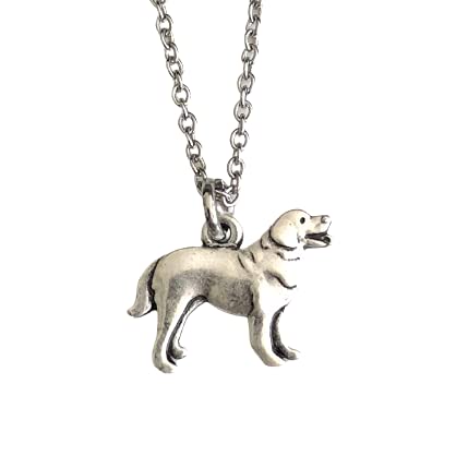Amazon.com: Golden Retriever Necklace on Stainless Steel Chain - Lab ...