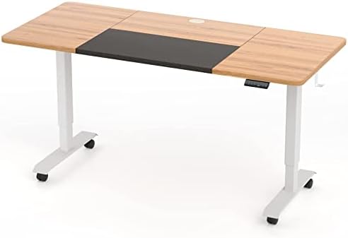 Amazon.com: HZTDFNI Standing Desk 48 x 24 Inches Electric Adjustable ...