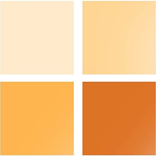 Amazon.com : Orange Color Correction Gel Filter Sheet 16x20 inches 4 ...