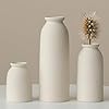 Amazon.com: Ceramic Vase Set-3, Small Flower Vases for Decor, Modern ...