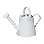 Simpa 3L 3 Litre Colour Metal Watering Can with Watering Rose - Matt ...