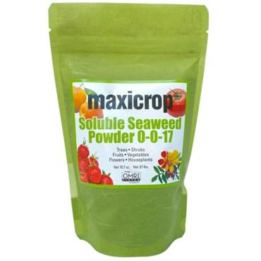 Amazon.com : Maxicrop Soluble Seaweed Powder 0-0-17-10.7oz - OMRI ...