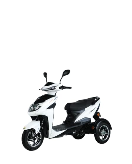 Electric Scooty Scooter E-Scooty E-Bike Battery Bike Electric Two ...