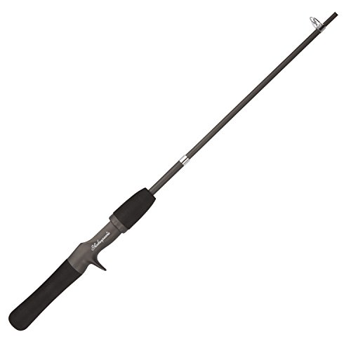 Shakespeare Fishing Rods Review (2024 Buyer's Guide)