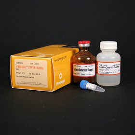 P450-Glo CYP1B1 Assay, 50ml: Amazon.com: Industrial & Scientific