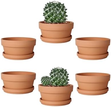 Amazon.com: Small Shallow Terracotta Pot for Succulent - 6 Pcs Clay ...