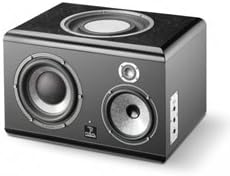 Amazon.com: Focal Professional SM9 3 Way Midfield Active Studio Monitor ...