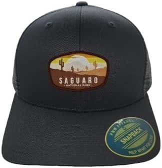 Saguaro Hat - Snapback Mesh Backing Baseball Cap - National Park Patch ...