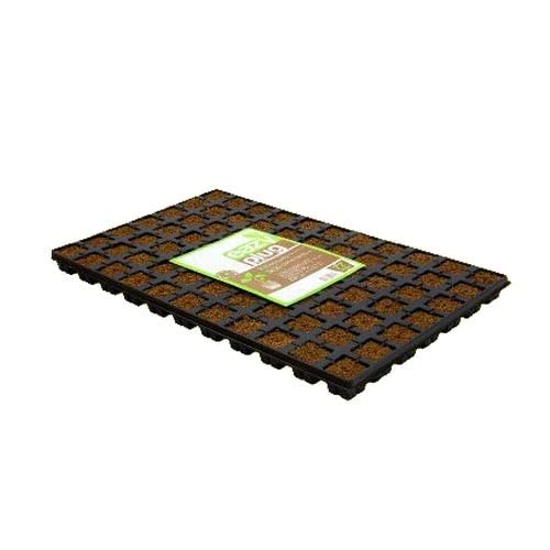 Eazy Plug Anzuchtwürfel – Die 15 besten Produkte im Vergleich - Die ...