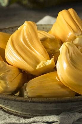 Live Gardens Super Dwarf Exotic Vietnam Super Early Variety Jackfruit ...