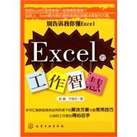 Amazon.com: Excel work smart(Chinese Edition): 9787122079749: Books