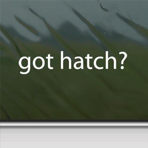 Amazon.com: Got Hatch? White Sticker Hatchback Civic Laptop Vinyl ...