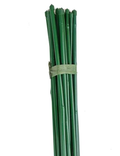 Cómo comprar tutores para plantas | Jardineria On