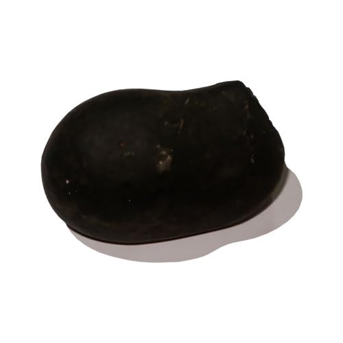 Buy Lord Shaligram Stone a Symble of Lakshmi-Narayan Nepal Gandaki ...