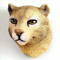 Amazon.com: Cougar Magnet : Home & Kitchen