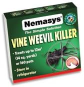 Nemasys Vine Weevil Killer 100 Sq. M, Next-Day Delivery : Amazon.co.uk ...