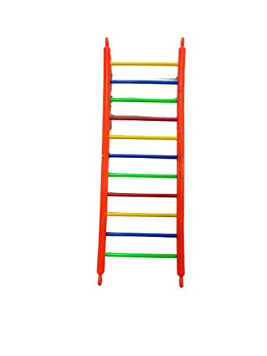 Plastic Ladder for Birds - Central Fish Aquarium (Small) : Amazon.in ...