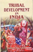 Tribal Development in India: Rajan Kr. Sahoo: 9788174453082: Amazon.com ...
