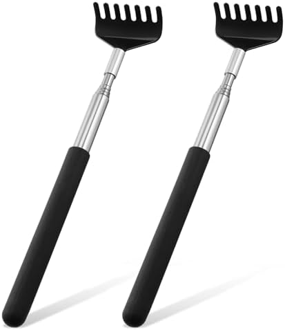 Amazon.com: BOHUIZ 2 Pack Extendable Back Scratcher, Portable Metal ...