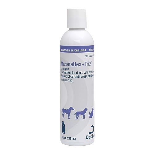 Find The Best Antifungal Shampoo For Dogs Reviews & Comparison - Katynel