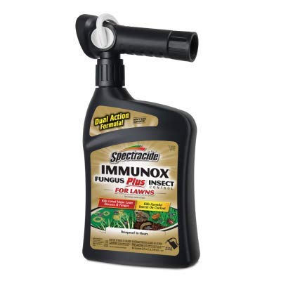 Amazon.com: Immunox Fungicide Plus Insect Control, 32-fl. oz. Ready-to ...