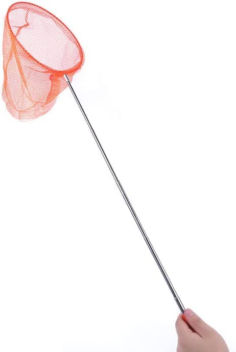 Cazamariposas Decathlon: La Mejor Herramienta para la Pesca con Nasa ...