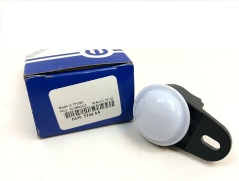 Amazon.com: Courtesy Lamp : Automotive