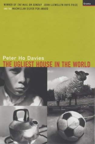 The Ugliest House in the World: Peter Ho Davies: 9781862073425: Amazon ...
