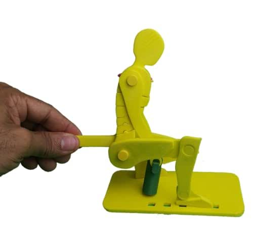 Amazon.com: Didactica3d, Correct Lifting Model, Demonstration Figure ...