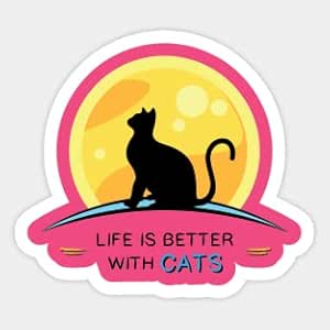 Amazon.com: Meow Sticker, Gift Sticker, Funny Sticker, Vinyl Sticker ...