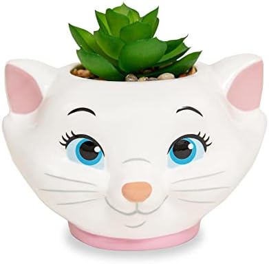Amazon.com: Disney Lilo & Stitch Pineapple 6-Inch Ceramic Planter with ...