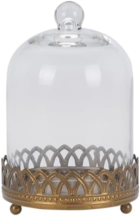 Amazon.com: Twakutwku 8" Tall Large Sturdy Handmade Glass Cloche Dome ...
