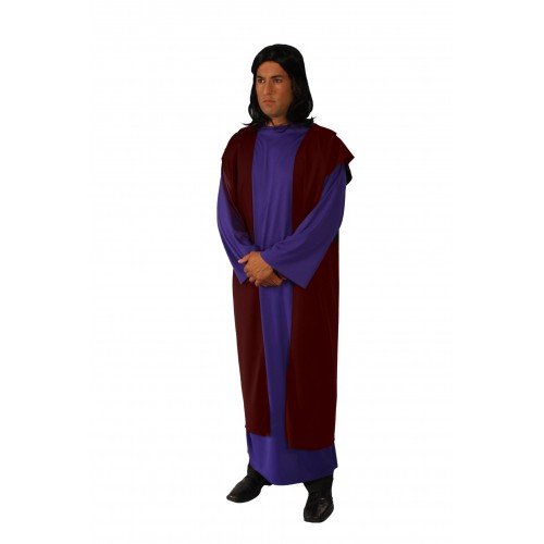 Buy Alexanders Costumes Story of Christ Biblical Over Robe Child ...