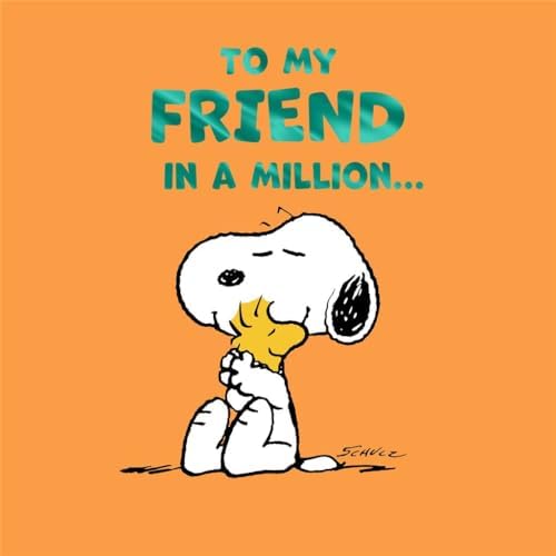Amazon.com : Cards Hallmark Peanuts Snoopy Friend Birthday Thank You ...