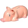 Amazon.com - Wrapables® Animal Mini Tabletop Vacuum, Pig - Household ...