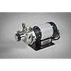 Amazon.com: RIPTIDE BREWING PUMP by Blichmann Engineering (from March ...