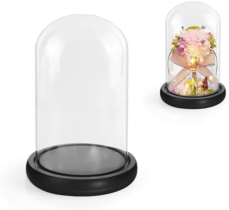 YKUKIZEE Glass Display Dome Cloche, Clear Glass Bell Jar with Black ...