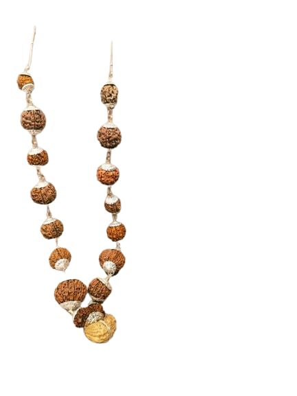 Gemstone King Authentic Ek Se Chaudah Mukhi Rudraksha Mala 1 To 14 ...
